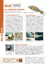 SEA LIFE NEWS