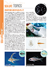 SEA LIFE NEWS