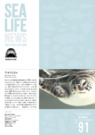 SEA LIFE NEWS