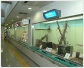 Animals | Tama Zoological Park